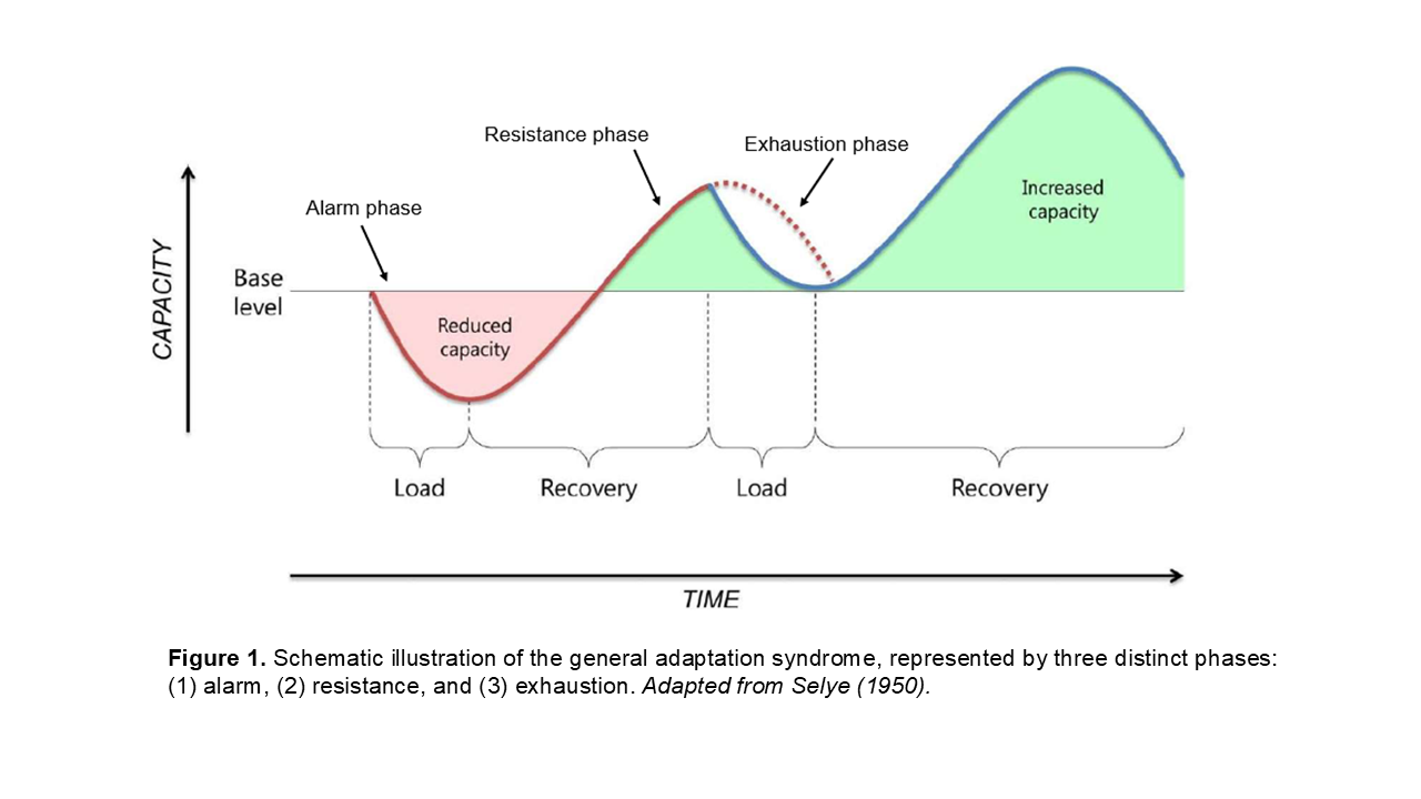 How Does Tissue-Specific Load Adaptation Fit Within the General ...